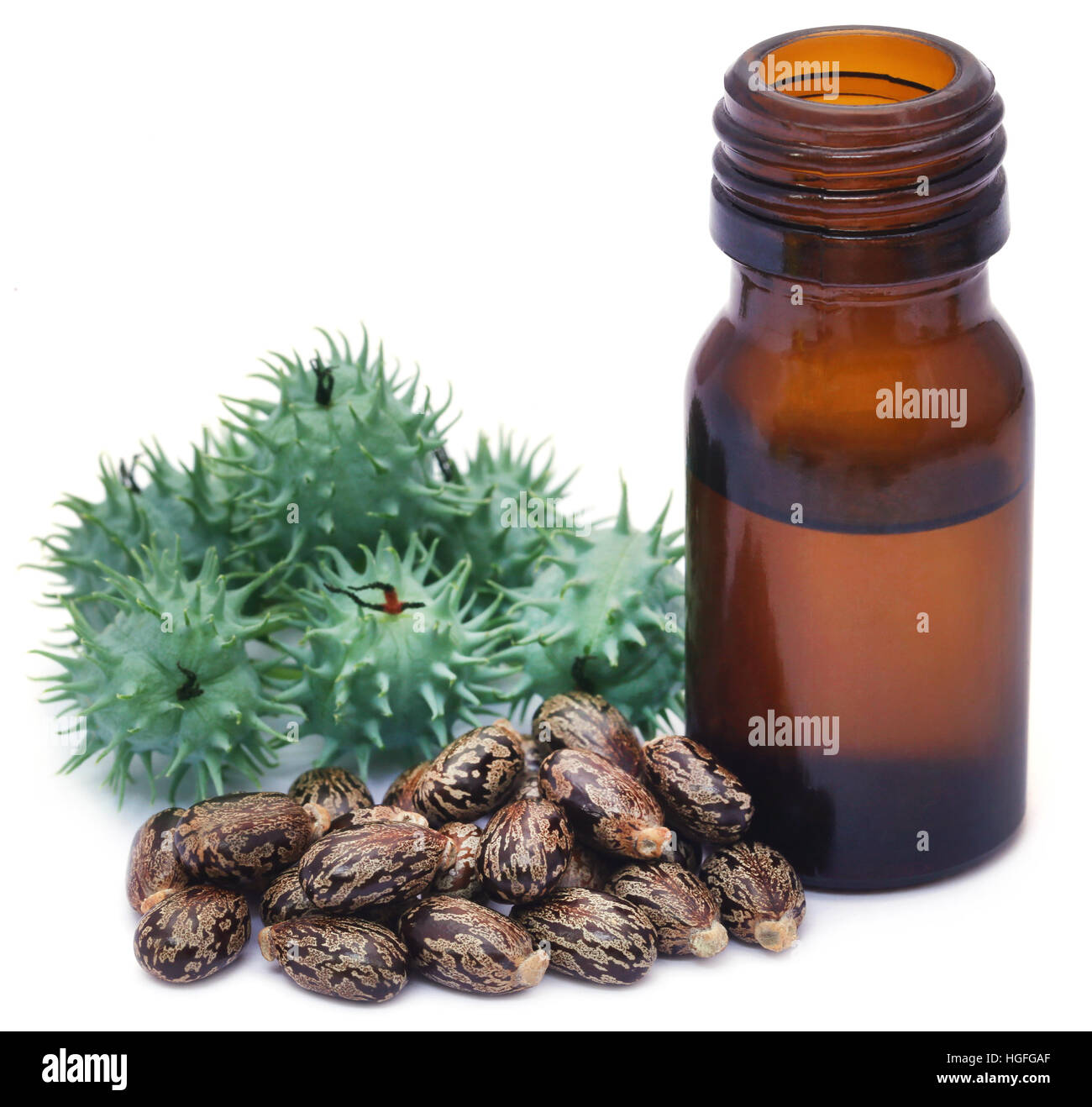 Castor oil with dry and green beans over white background Stock Photo ...
