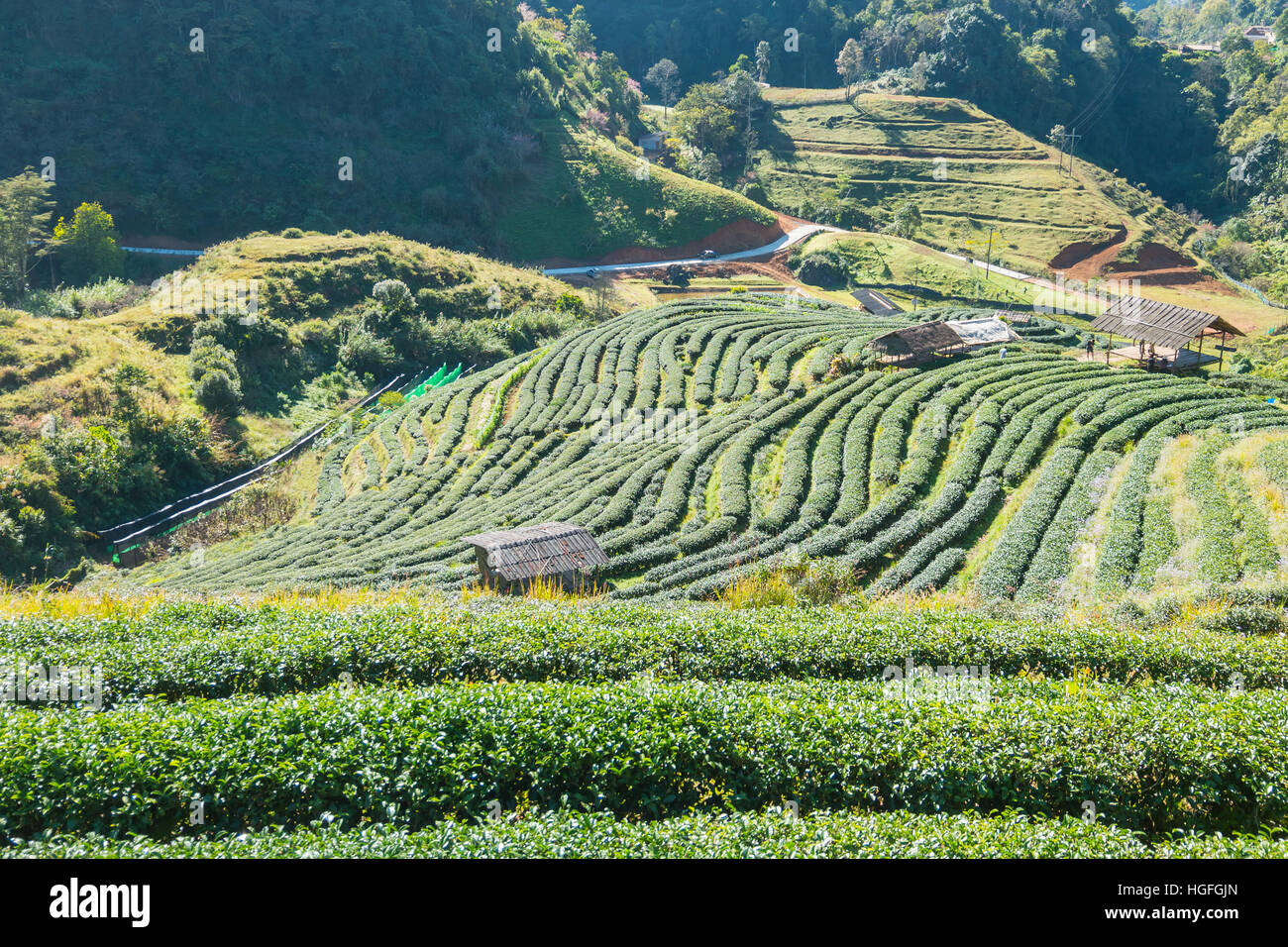 Sunrise at doi angkang , chiang mai , Thailand Stock Photo - Alamy
