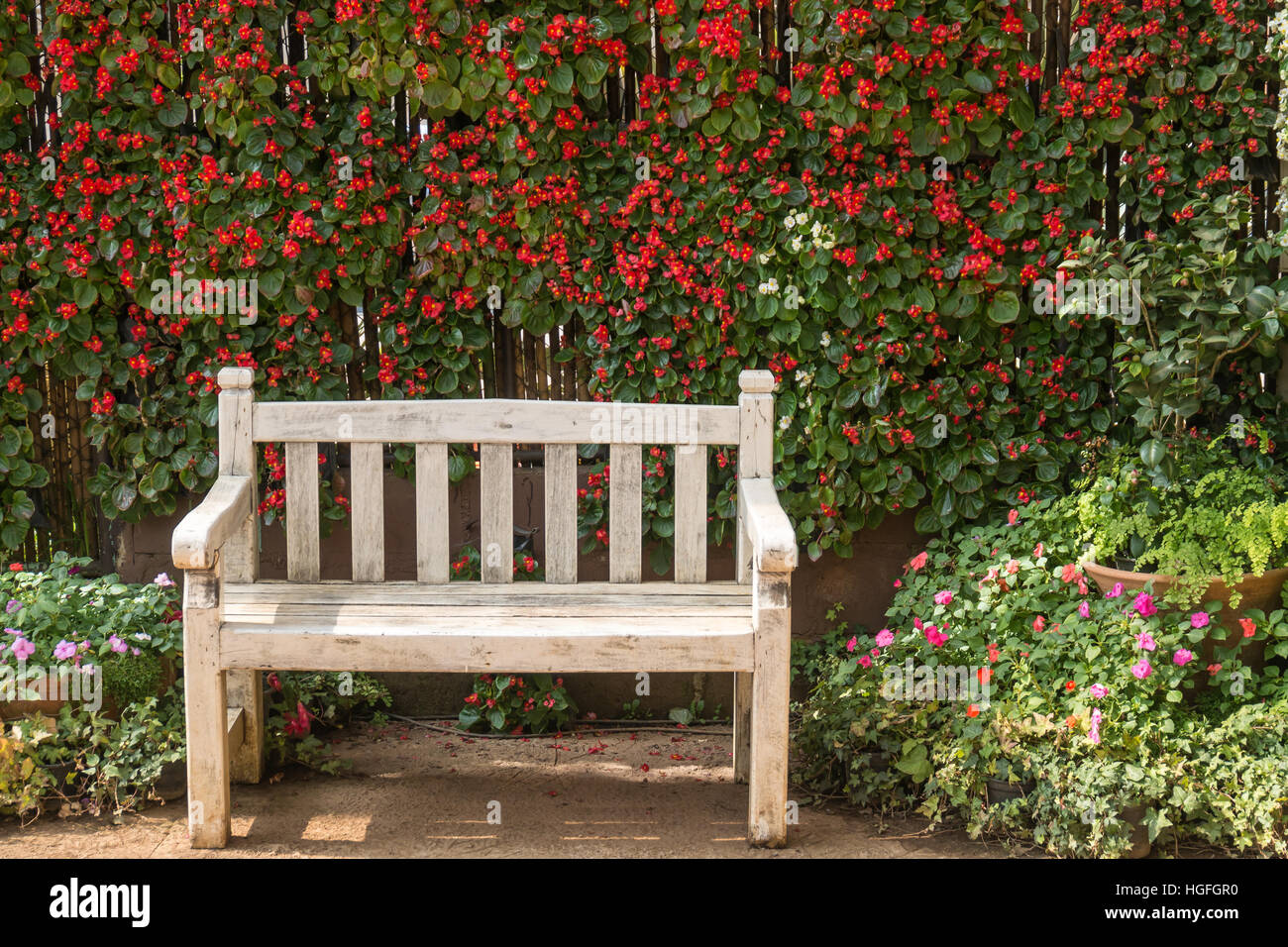the bench in the flowers garden Stock Photo - Alamy