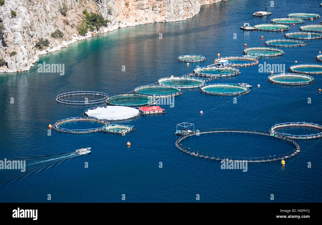 Fish farm in the sea Stock Photo - Alamy