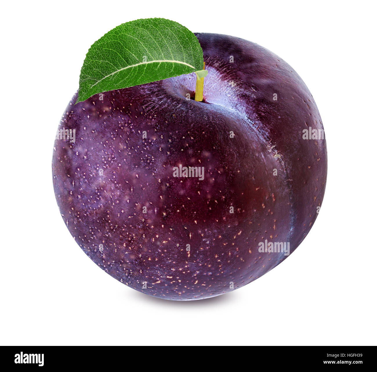 plum on a white background Stock Photo - Alamy