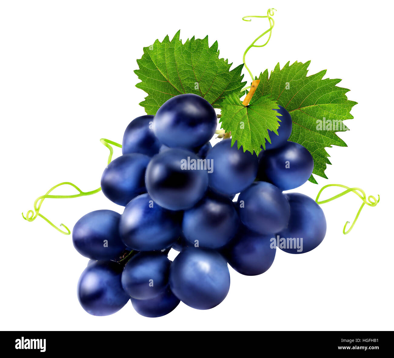 grapes isolated on the white background Stock Photo - Alamy