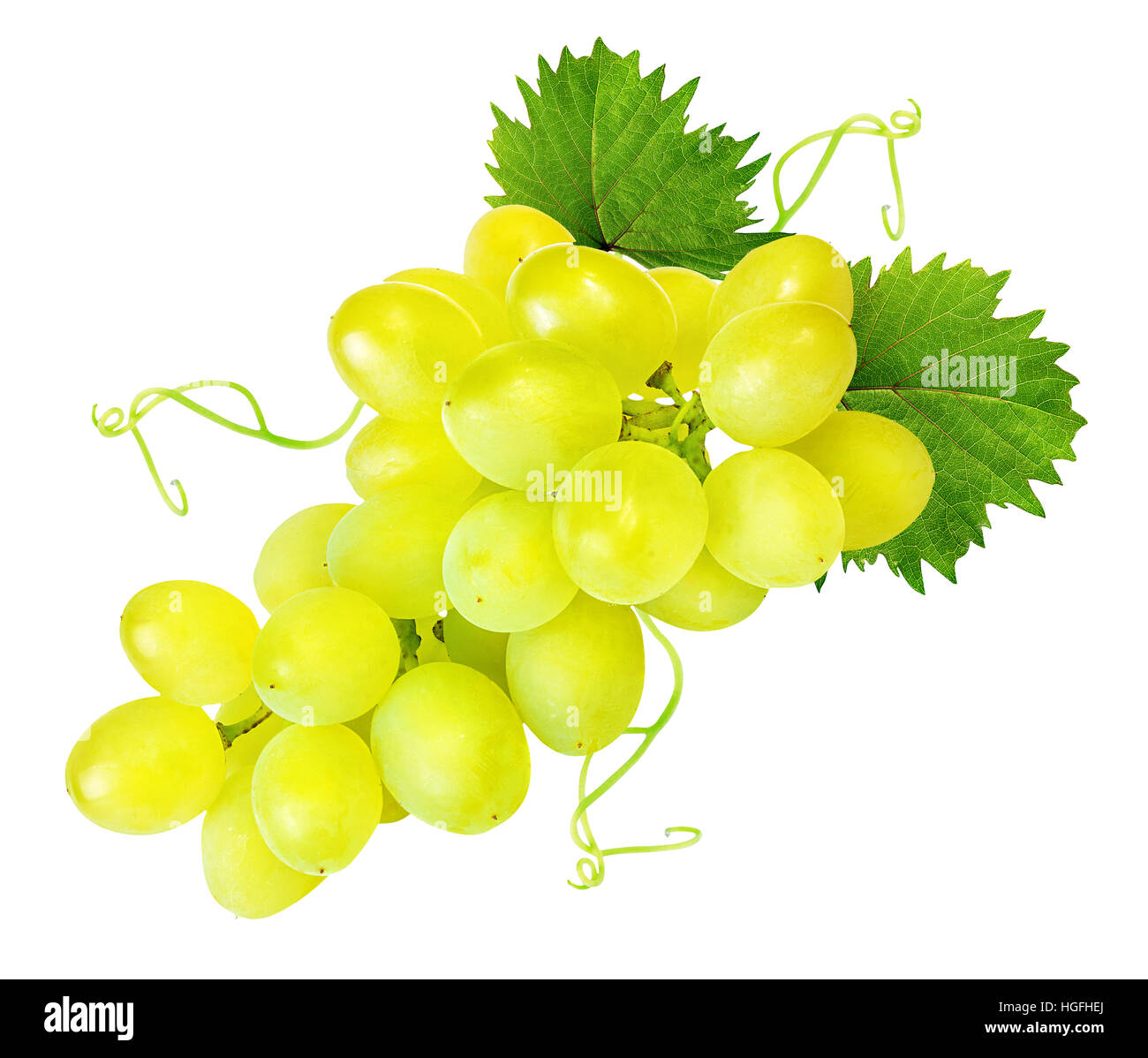 grapes isolated on the white background Stock Photo - Alamy