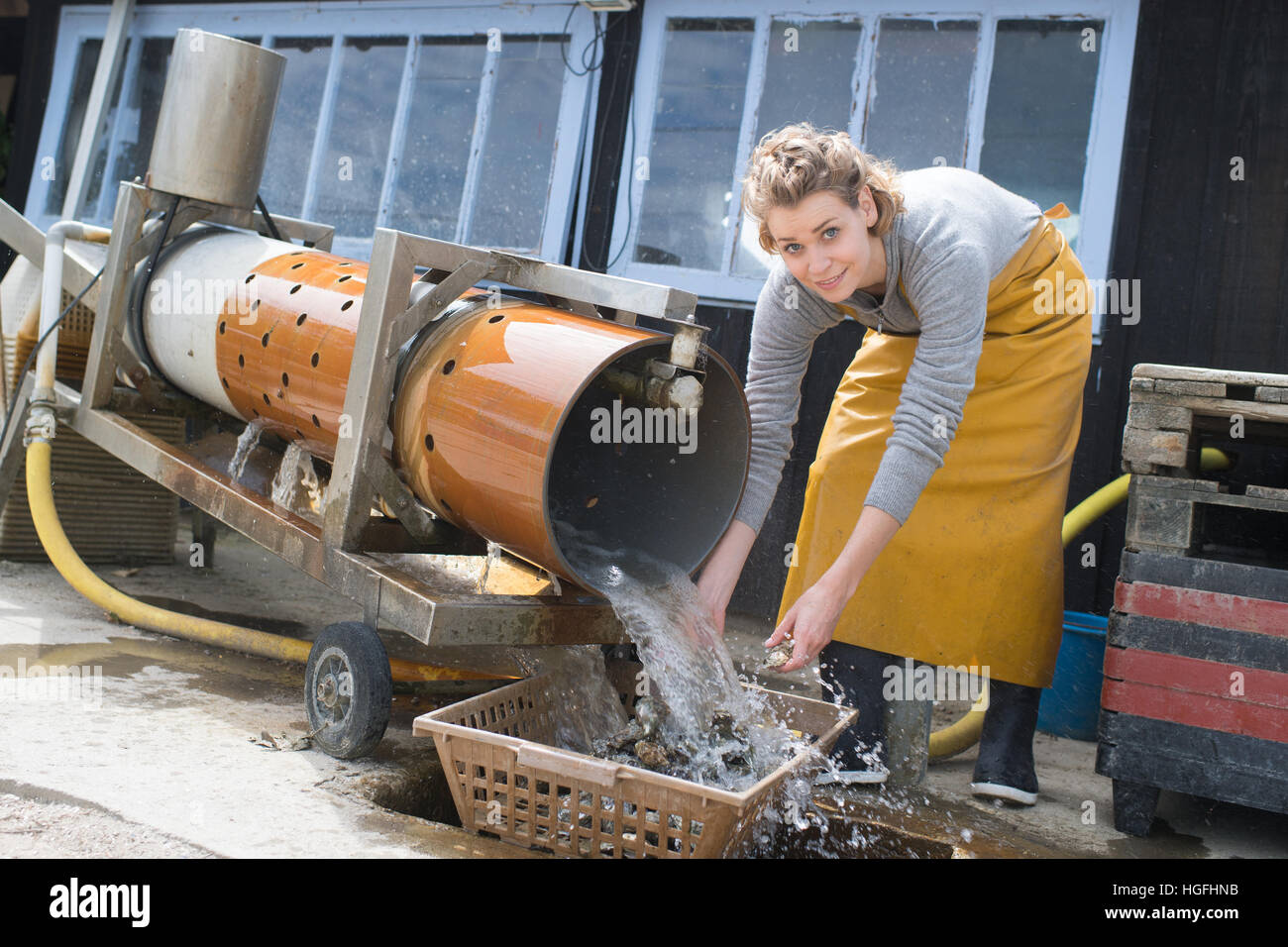 Woman catching produce in basket Stock Photo - Alamy