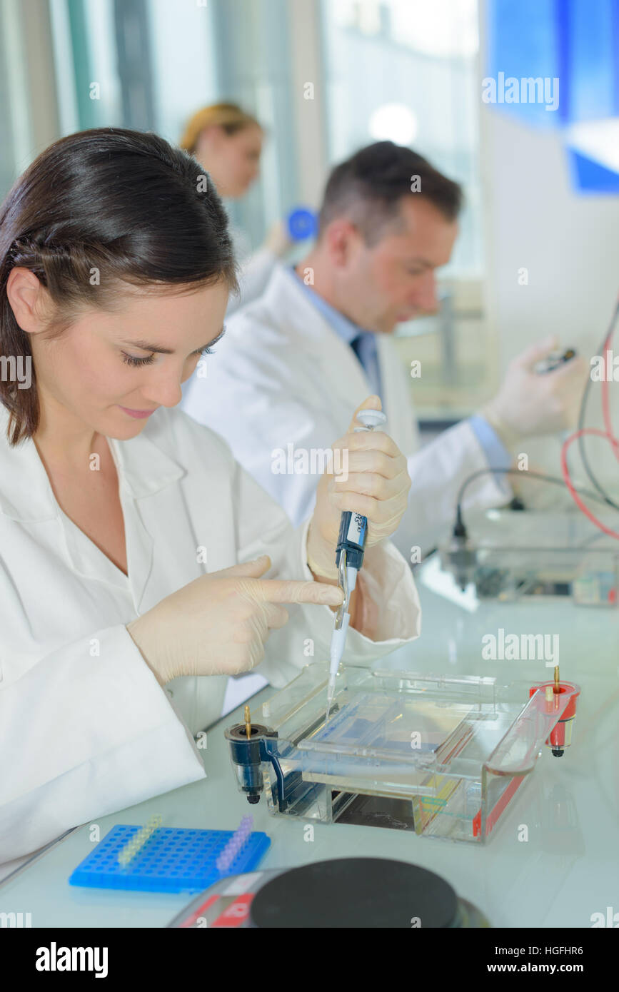 Laboratory technician using a pipette Stock Photo - Alamy