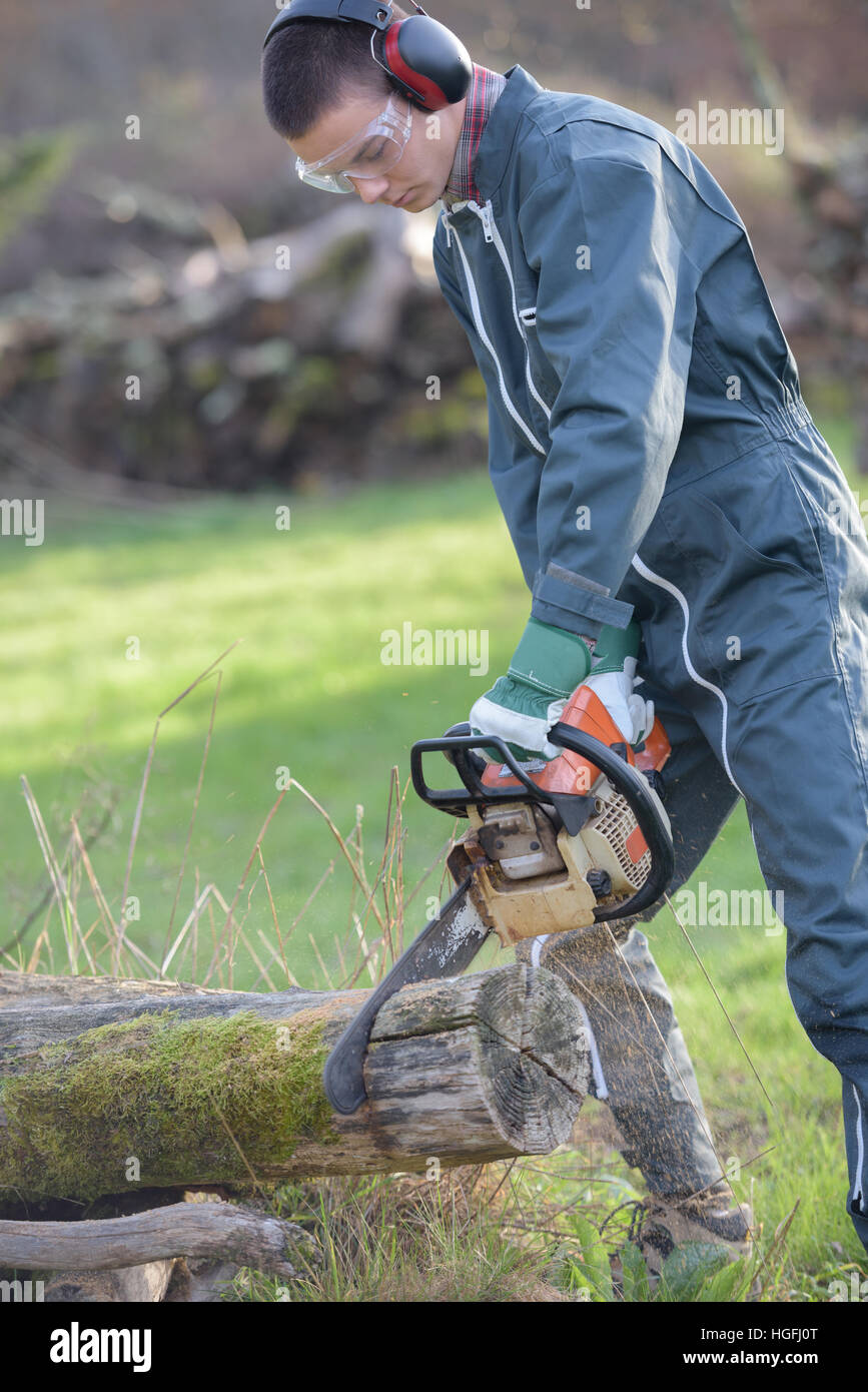 Forest chainsawing hi-res stock photography and images - Alamy