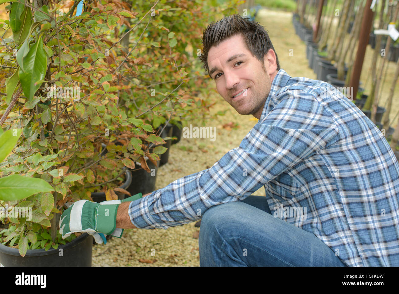 weeding the plants Stock Photo - Alamy