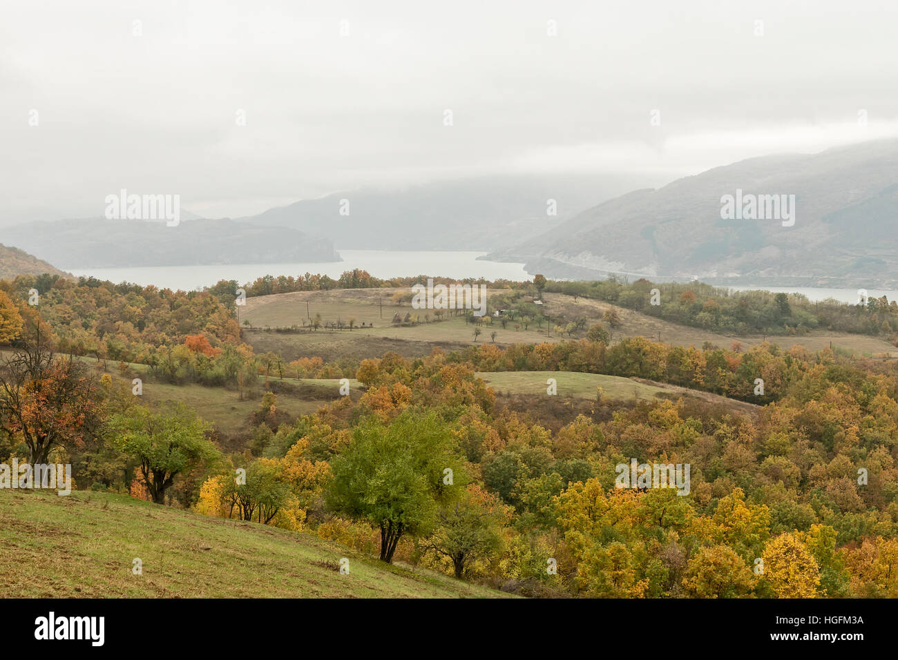 Autumn day in the woods with golden brown leaves near Danube river in ...