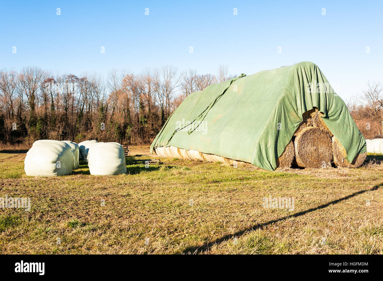 Round Bales of straw stored in a provisional barn Stock Photo - Alamy