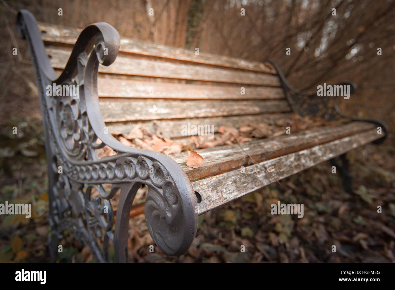 Bench in the Park in autumn season Stock Photo - Alamy