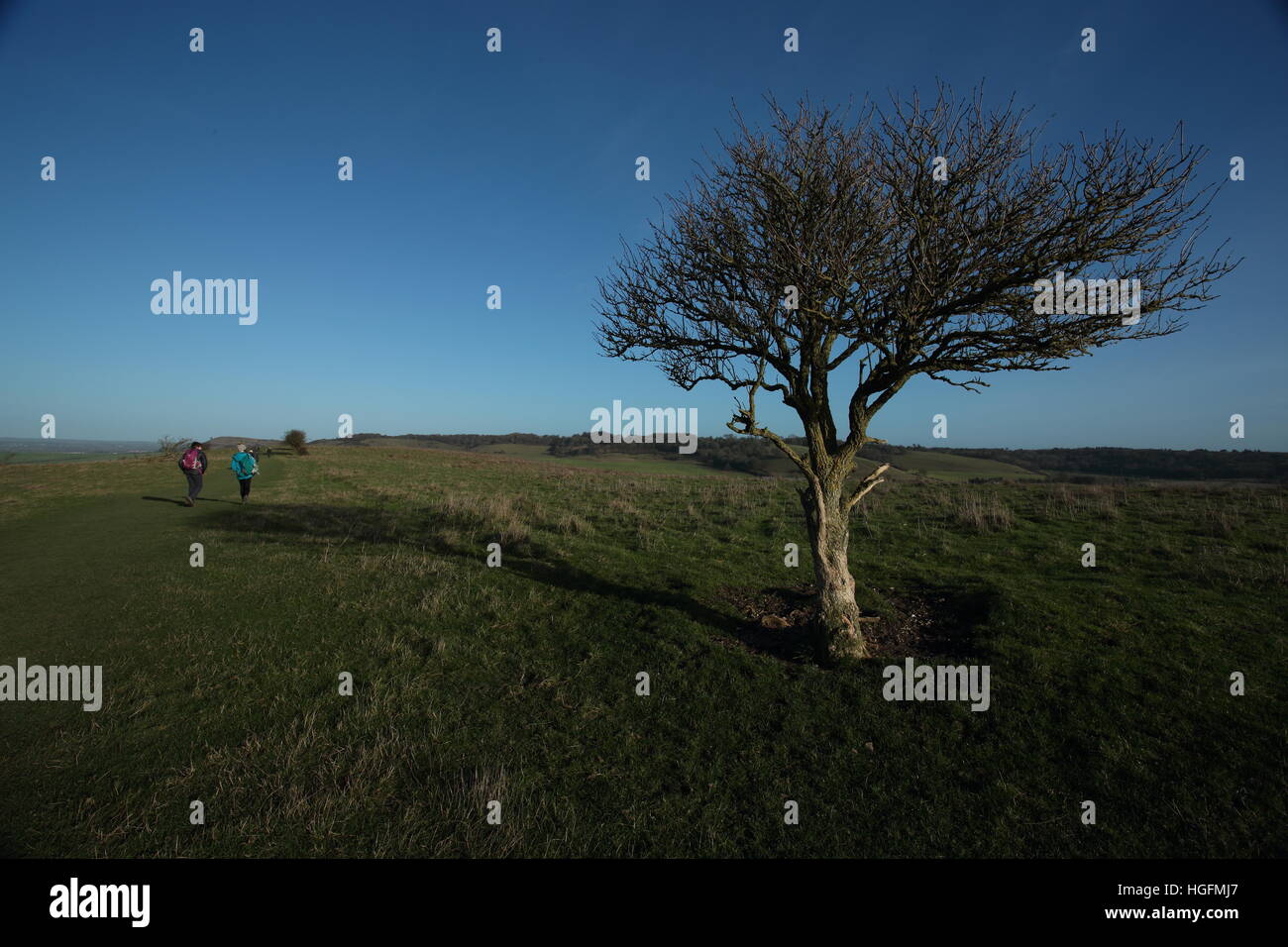 Ivinghoe beacon hi-res stock photography and images - Alamy
