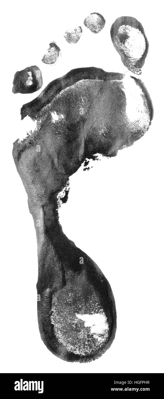 black footprint isolated on a white Stock Photo - Alamy