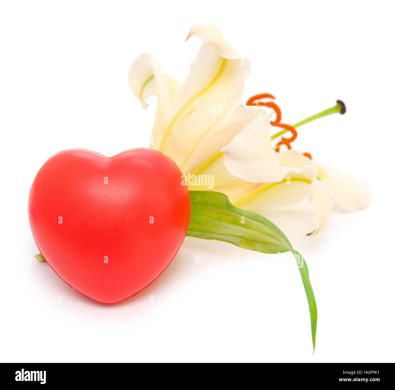 Lily tropical plants Cut Out Stock Images & Pictures - Alamy