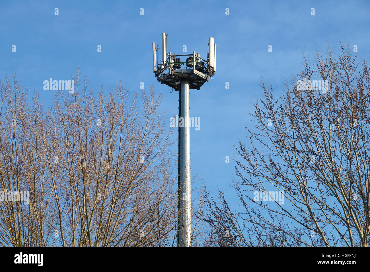 mobile pole behind tree with blue sky back ground ,technology can ...