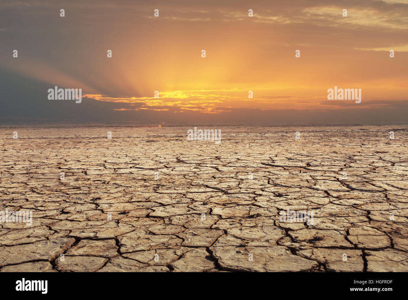 Arid soil hi-res stock photography and images - Alamy