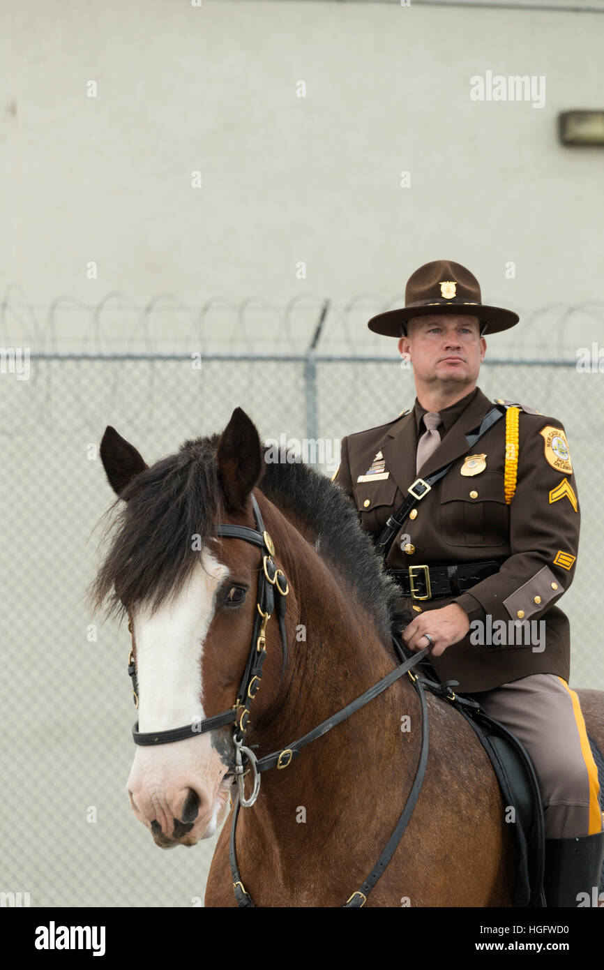 Canada American mounted police Ontario horse rider Stock Photo - Alamy