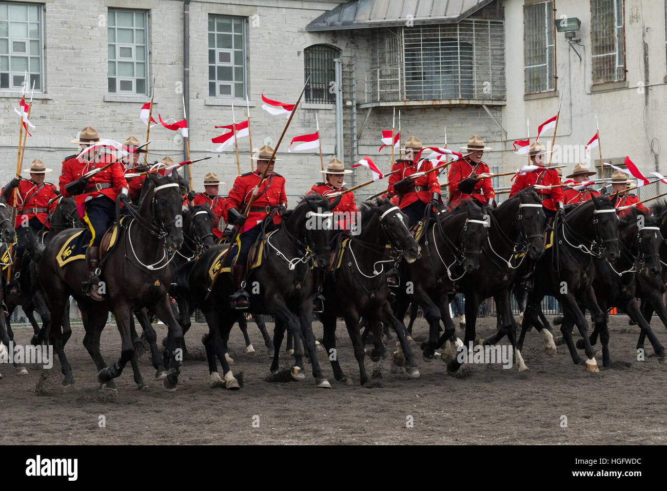 Royal canadian mounted police horse hi-res stock photography and images ...