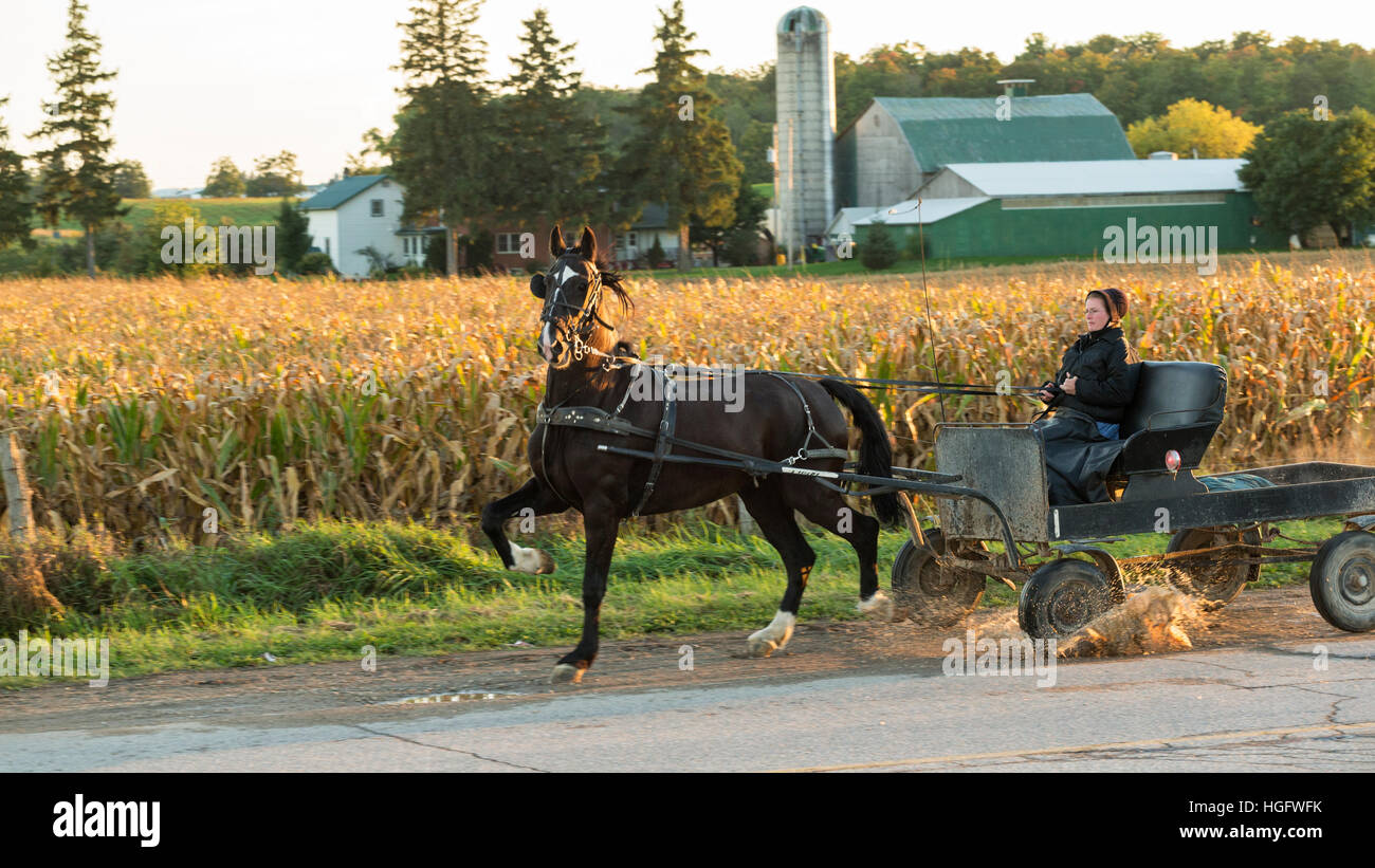 Mennonite protestant religion St Jacobs Canada Stock Photo - Alamy