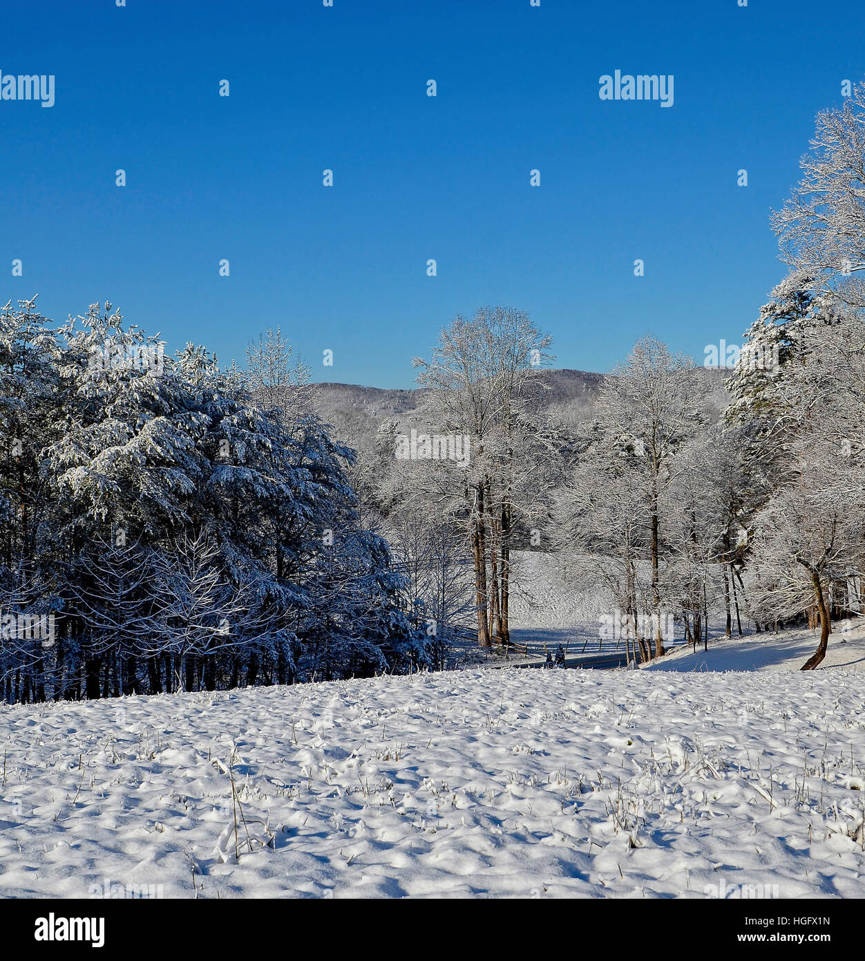 Winter seasonal landscape hi-res stock photography and images - Alamy