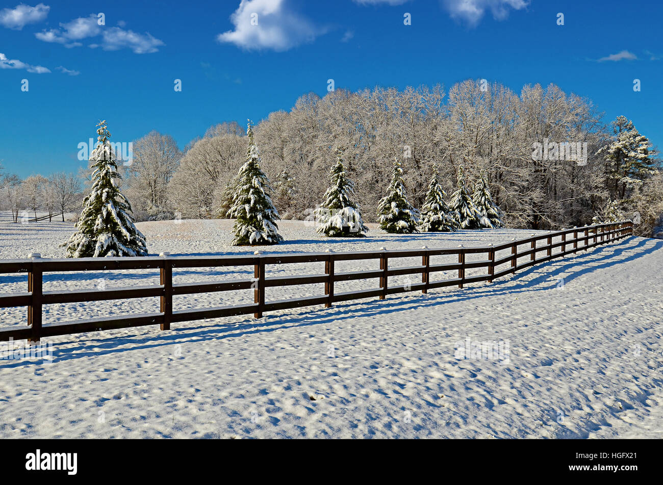 Beautiful pasture land covered with the first snow of the season Stock ...
