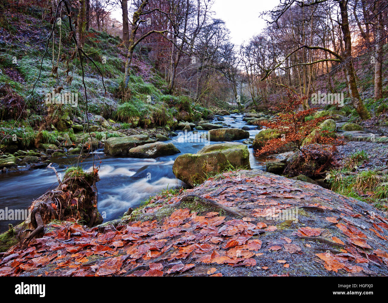 Stream woodland autumn hike hi-res stock photography and images - Alamy