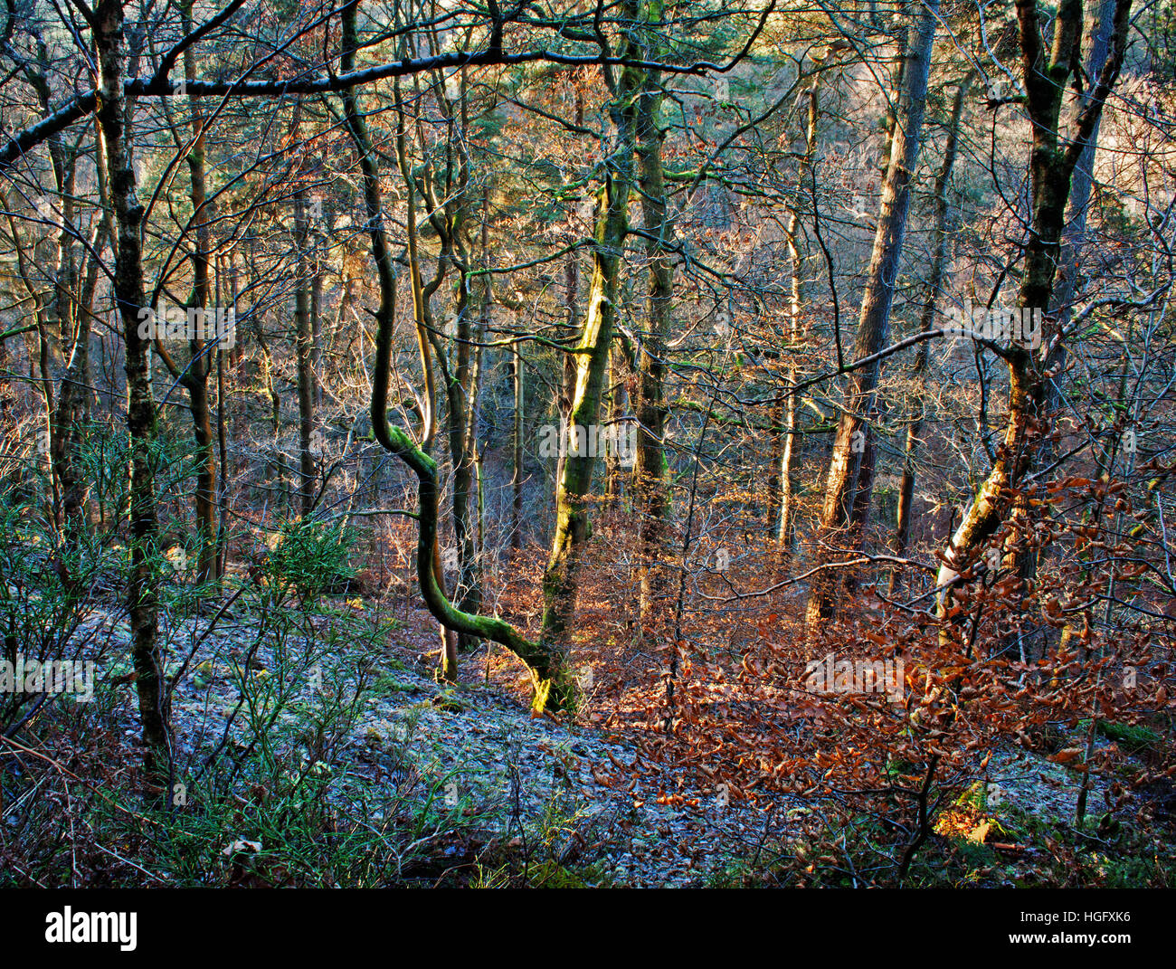 Hardcastle crags yorkshire hi-res stock photography and images - Alamy