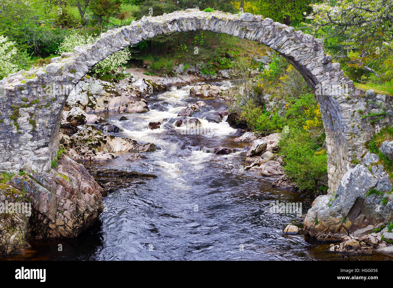 Carrbridge packhorse bridge in North of Aviemore, Scotland Stock Photo ...