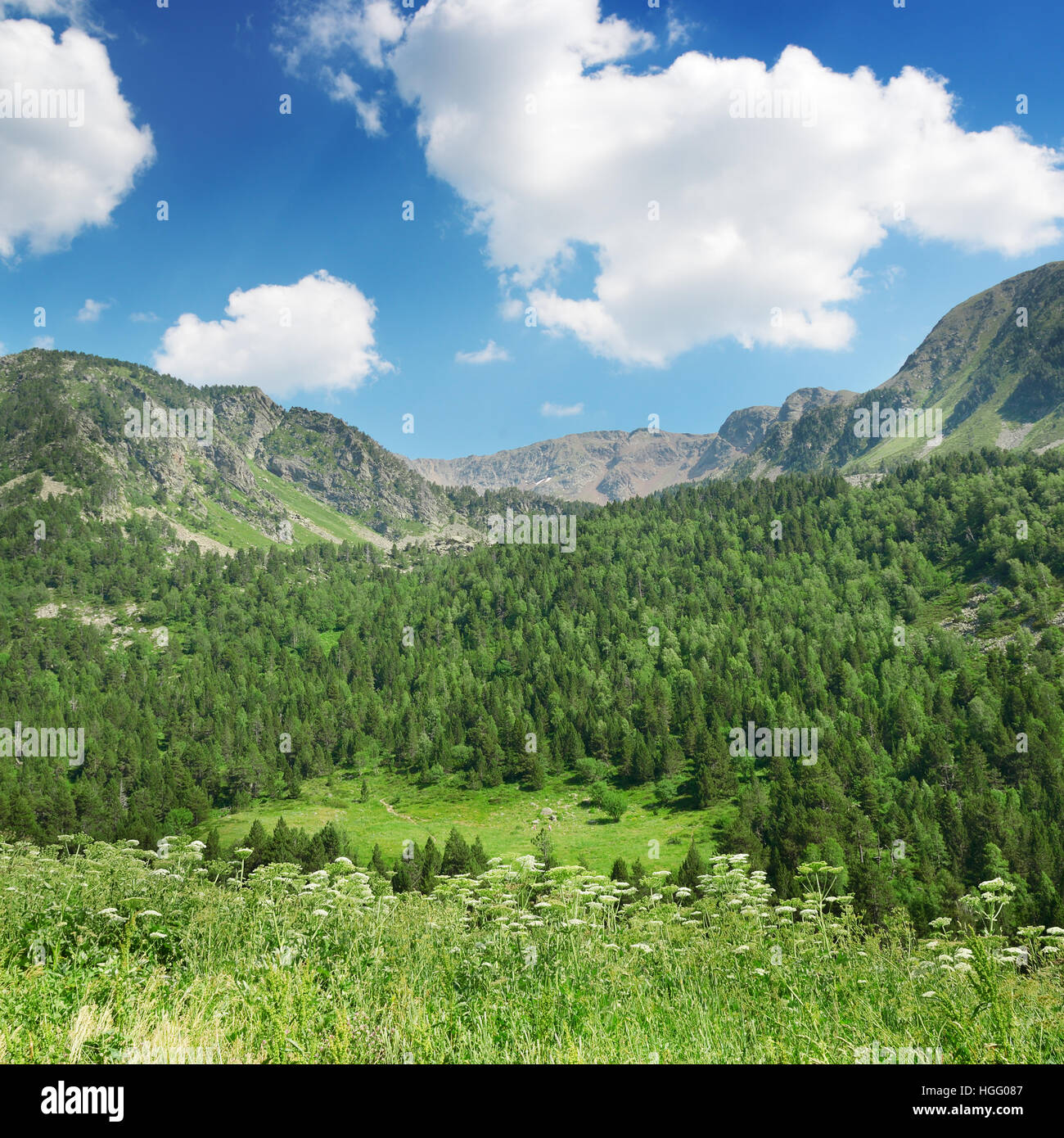 Beautiful mountain hillside covered grass hi-res stock photography and ...