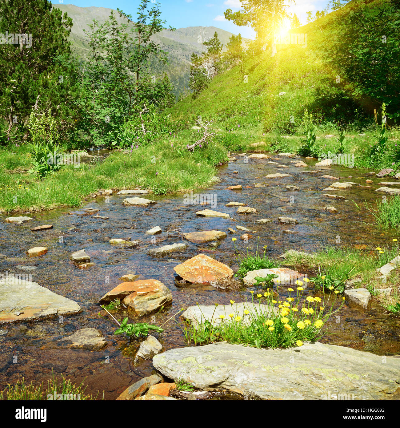 Spring stream in beautiful picturesque hi-res stock photography and ...