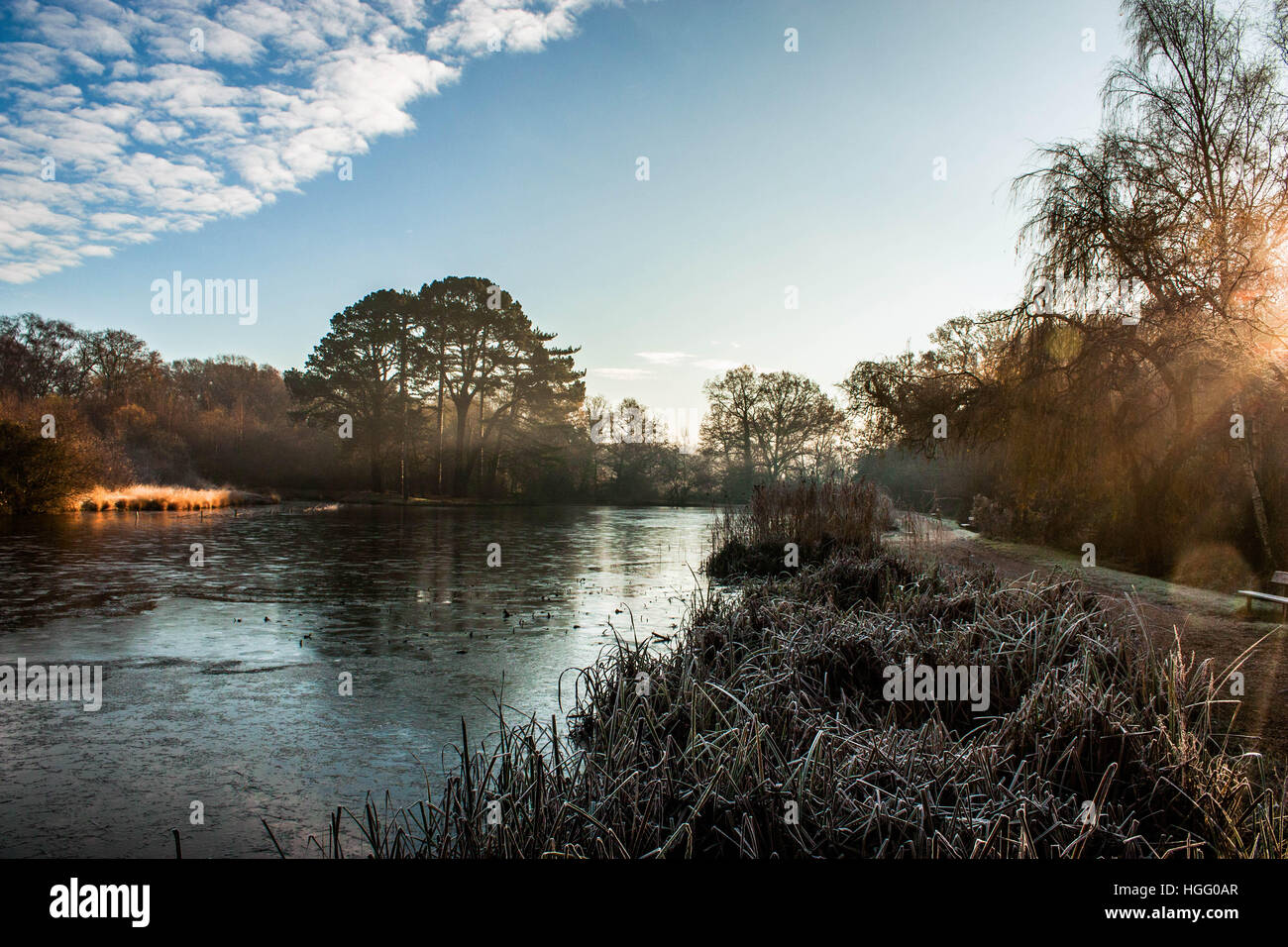 Mist southampton common hi-res stock photography and images - Alamy