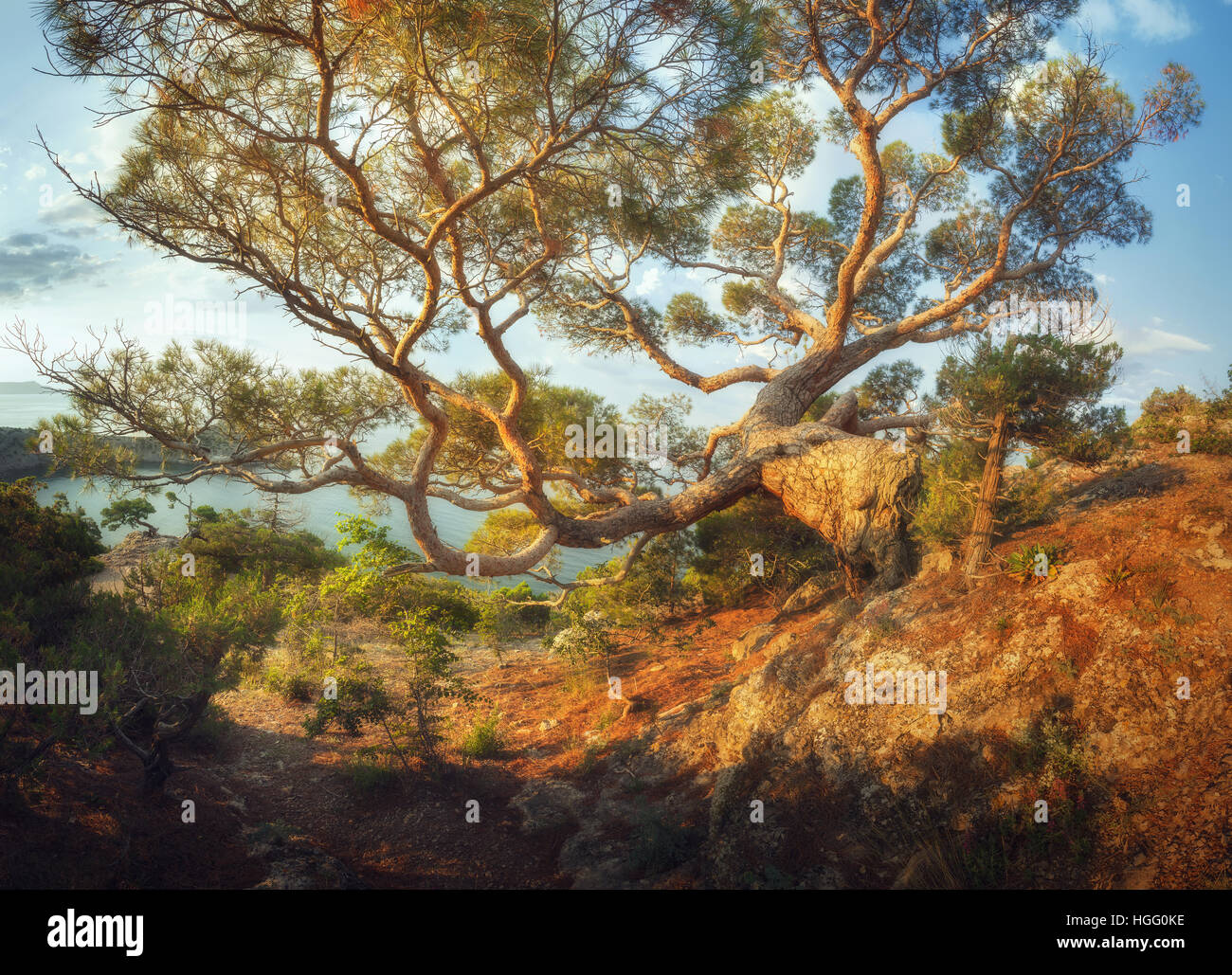 Beautiful old big stones in hi-res stock photography and images - Alamy