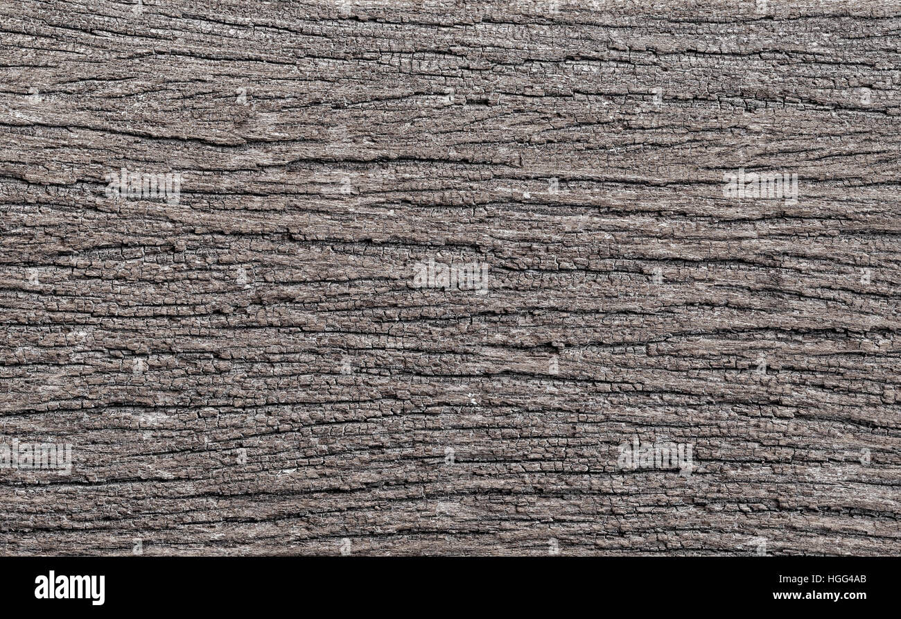 Old wood texture for the design background Stock Photo - Alamy