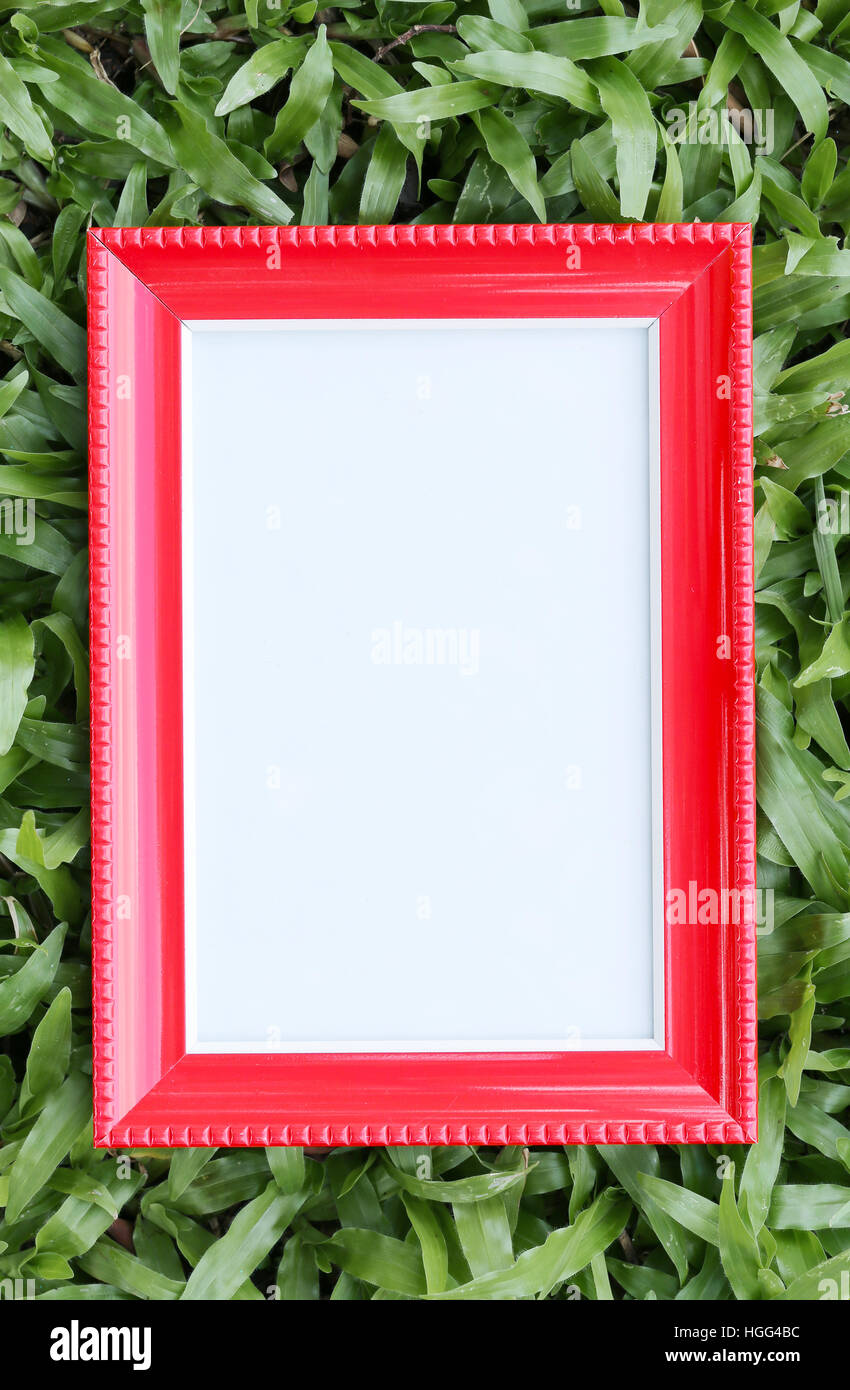 Red picture frame on green lawn in top view for the design nature ...