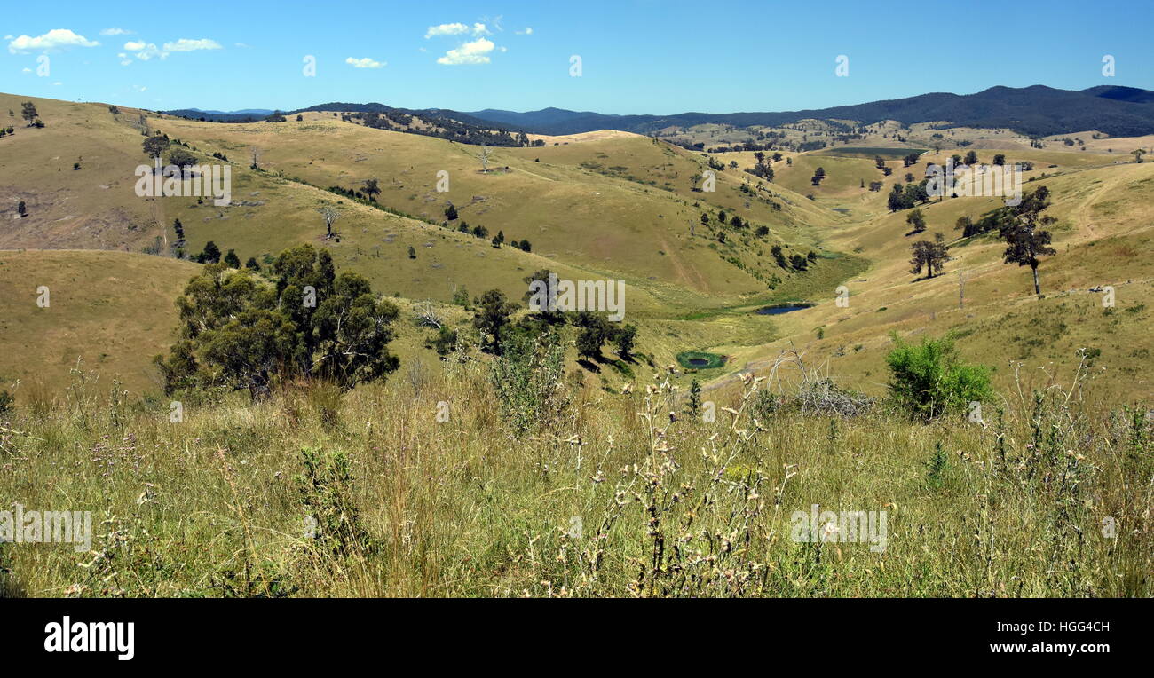 Gippsland australia countryside hi-res stock photography and images - Alamy