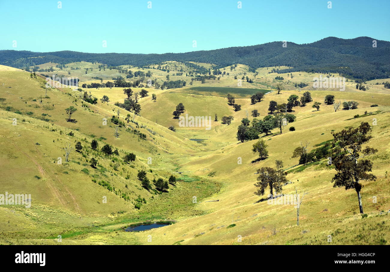 Broad panorama of the countryside in North Gippsland, Victoria with ...