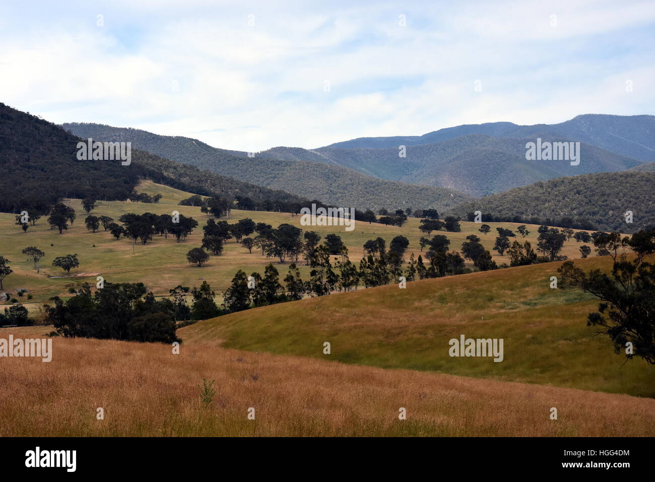 Broad panorama of the countryside in High Country, Victoria with green ...