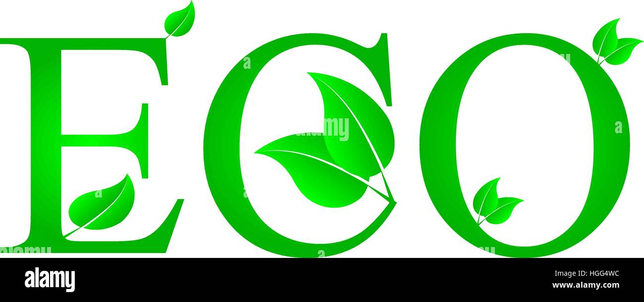 lustration of green leaves with ECO text on a white background Stock ...