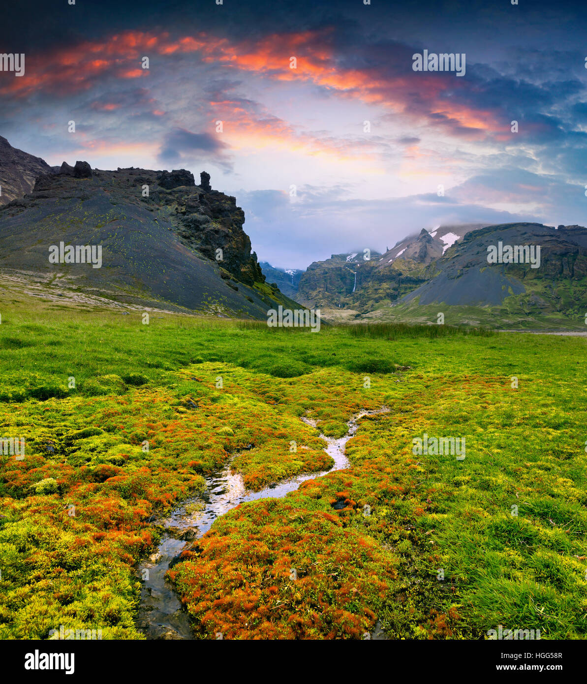 Andrew mayovskyy Stock Photos & Images from Alamy