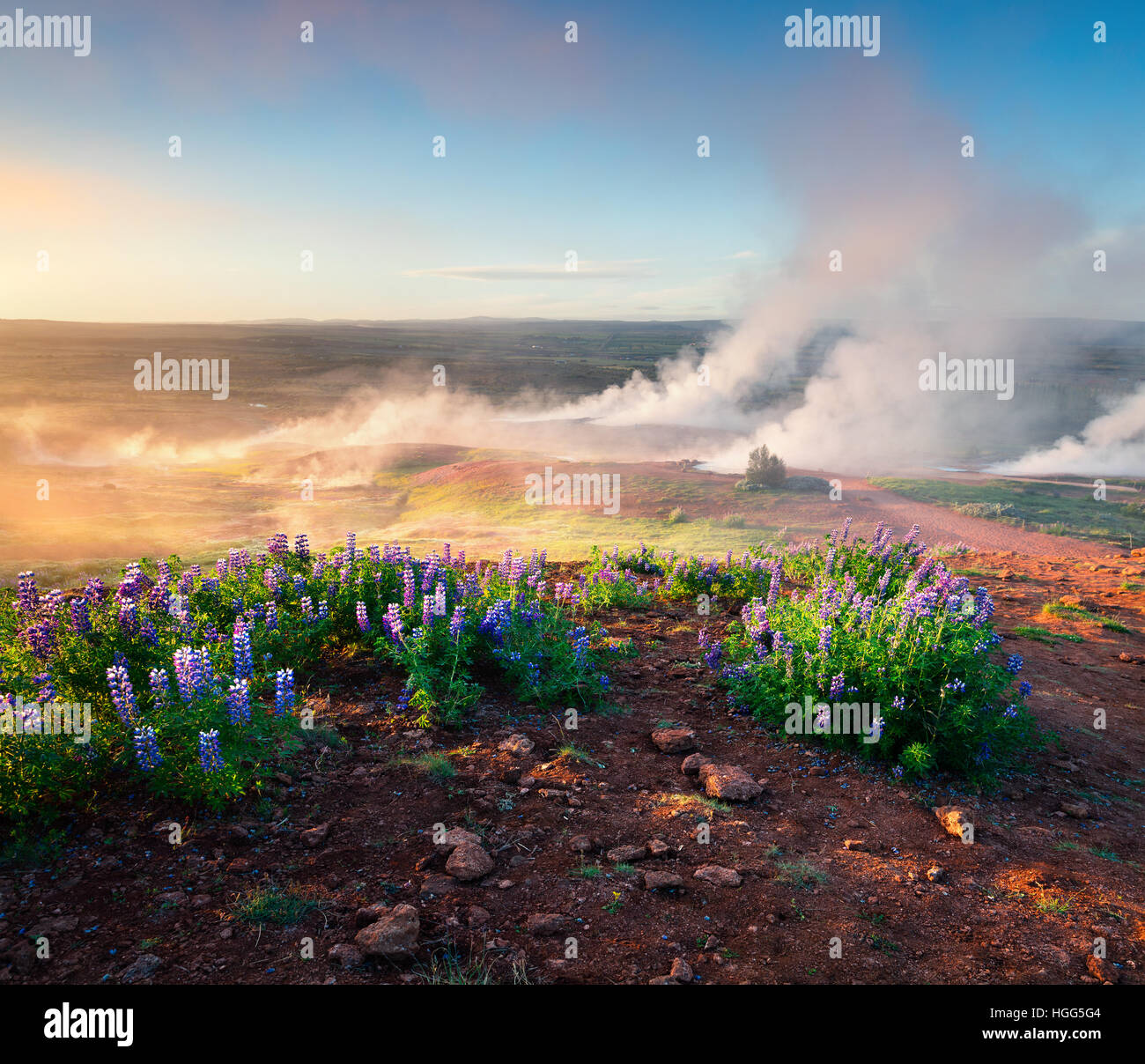 Andrew mayovskyy Stock Photos & Images from Alamy