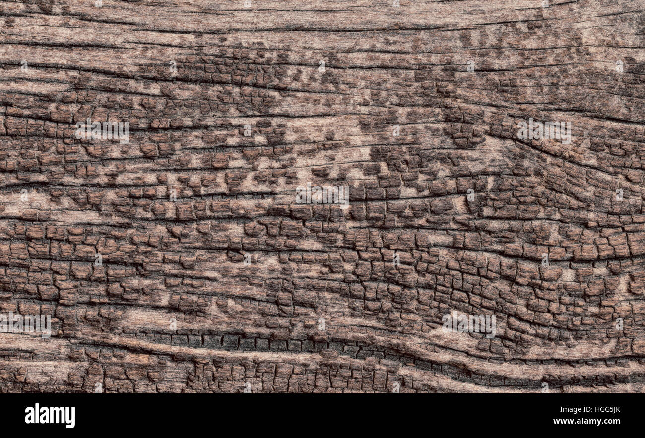 Old wood texture for the design background Stock Photo - Alamy