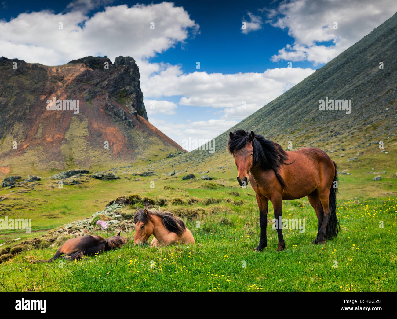 Andrew mayovskyy Stock Photos & Images from Alamy