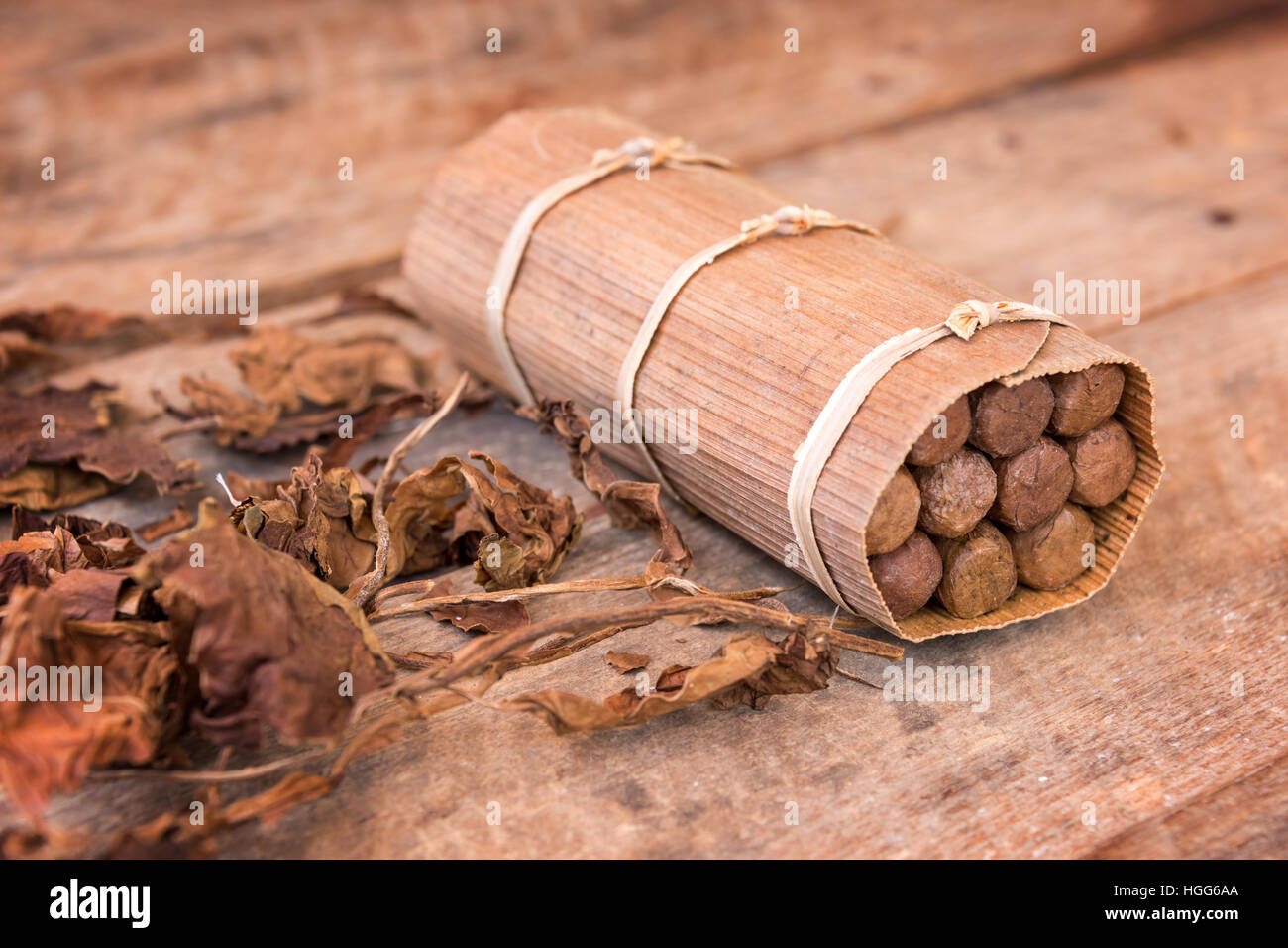 Cuban cigar making hi-res stock photography and images - Alamy