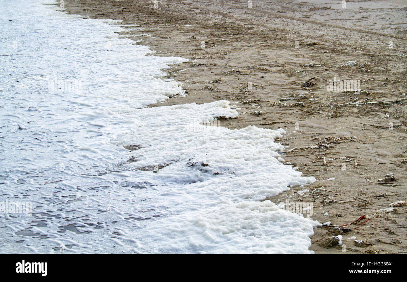 Phaeocystis foam on the beach Stock Photo - Alamy