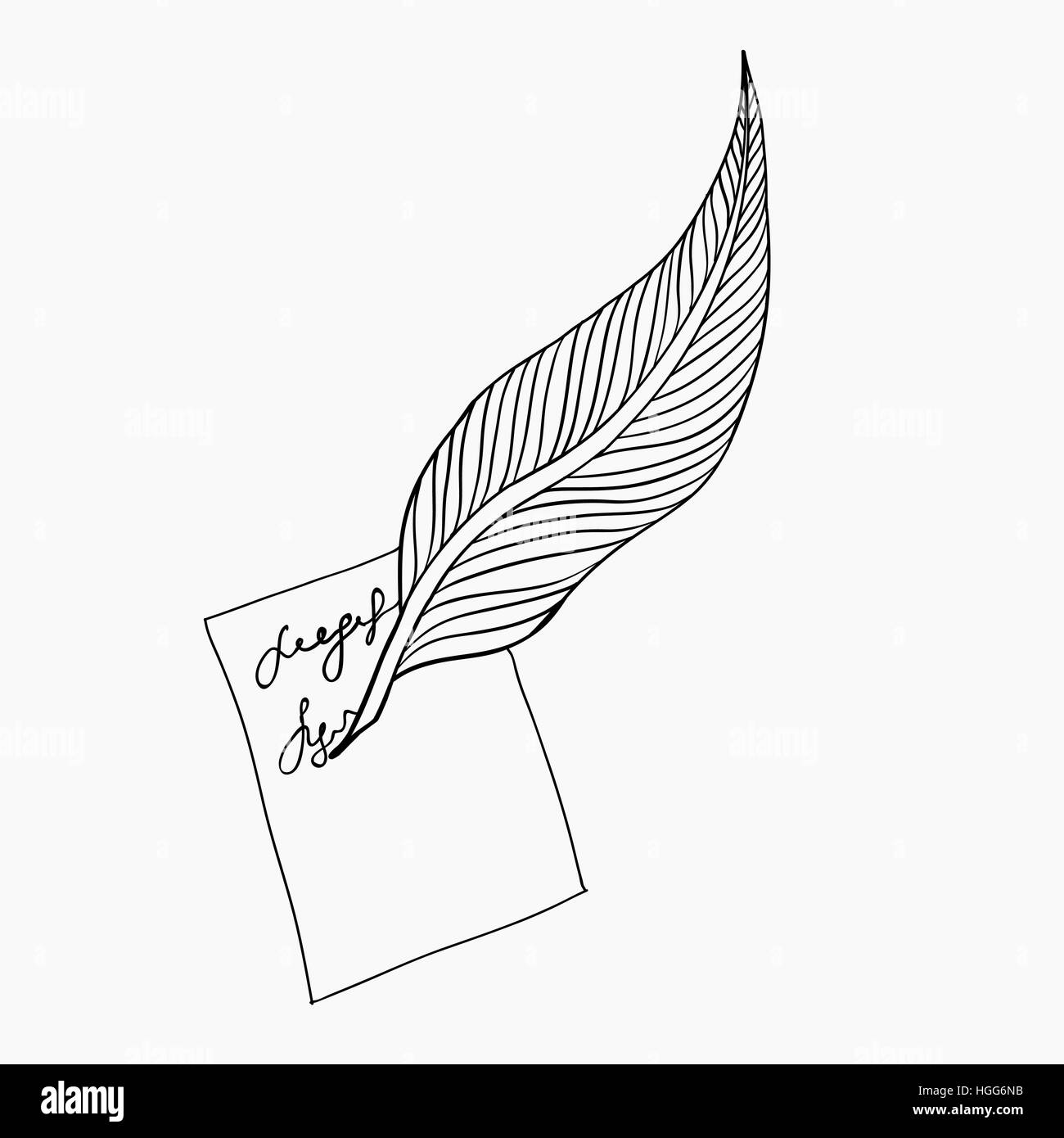 Feather for writing. Sketched plume with paper. Vector illustration ...