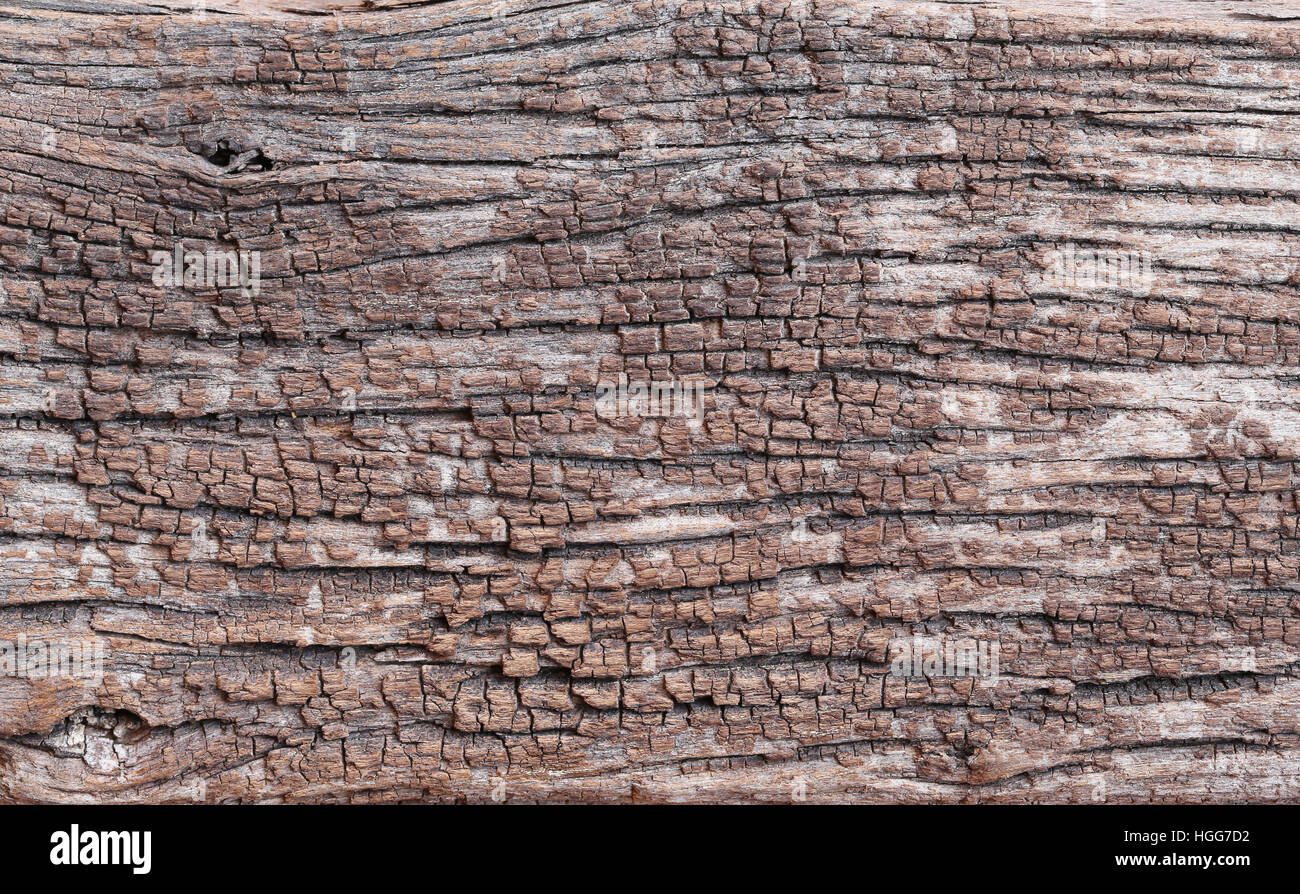 Old wood texture for the design background Stock Photo - Alamy