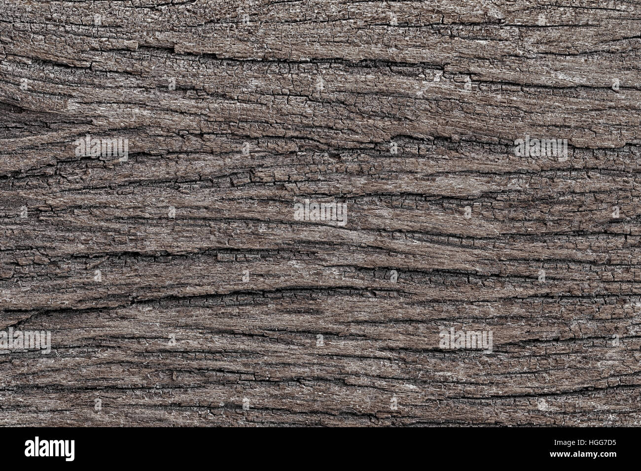 Old wood texture for the design background Stock Photo - Alamy