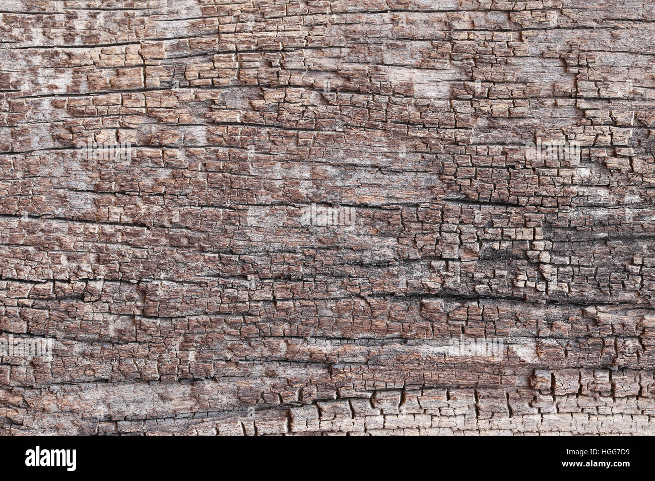 Old wood texture for the design background Stock Photo - Alamy