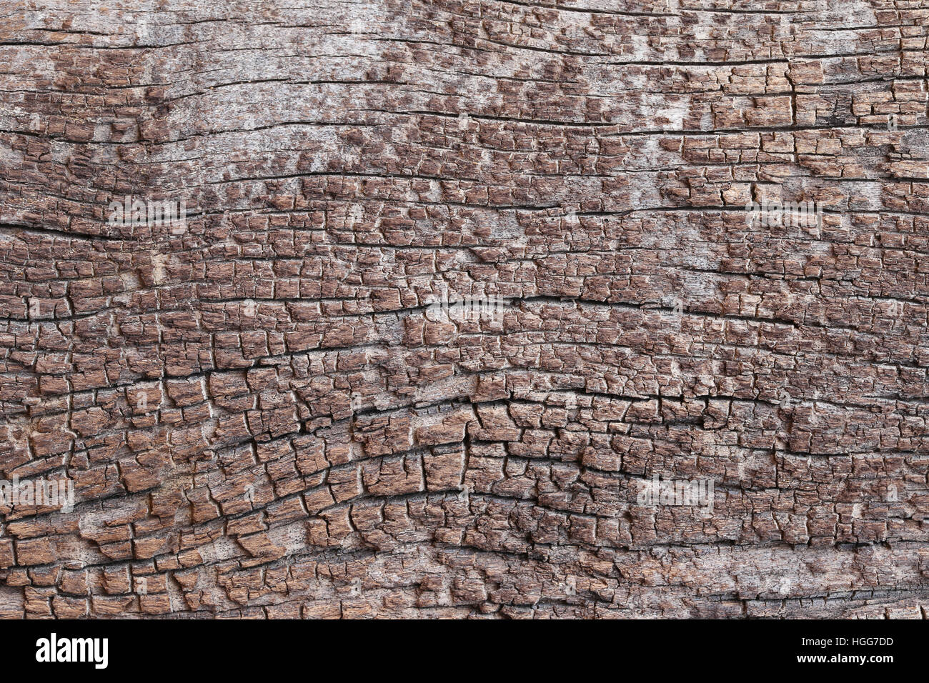 Old wood texture for the design background Stock Photo - Alamy