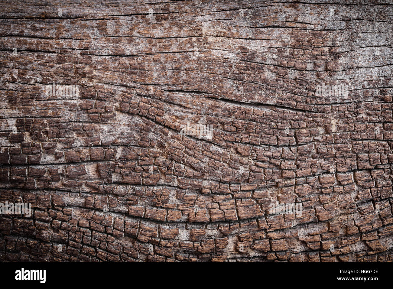 Old wood texture for the design background Stock Photo - Alamy