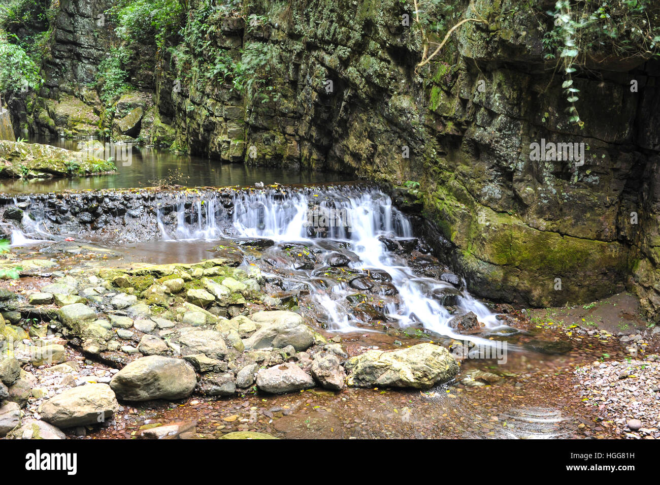 Fresh water river hi-res stock photography and images - Alamy
